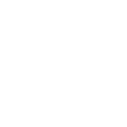 India Policy Foundation